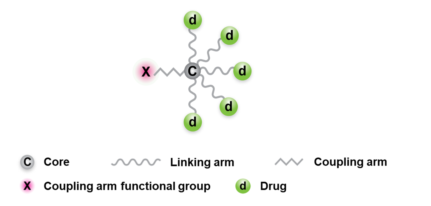 Cytotoxic drug bundles – TE-Meds