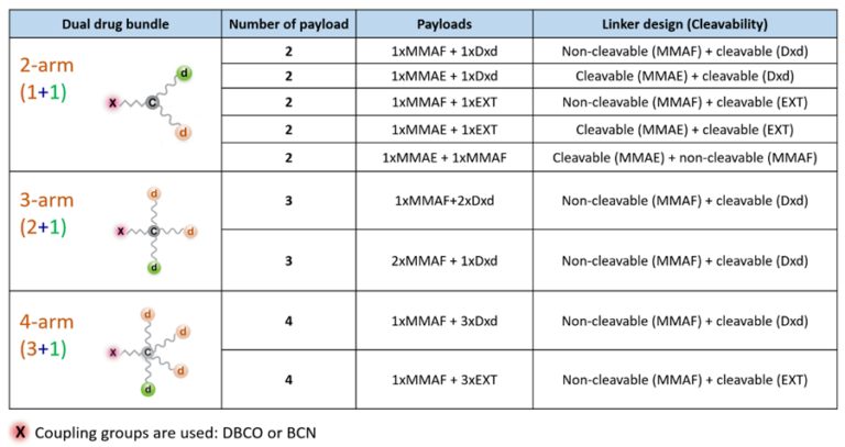 Dual-drug cytotoxic drug bundles – TE-Meds